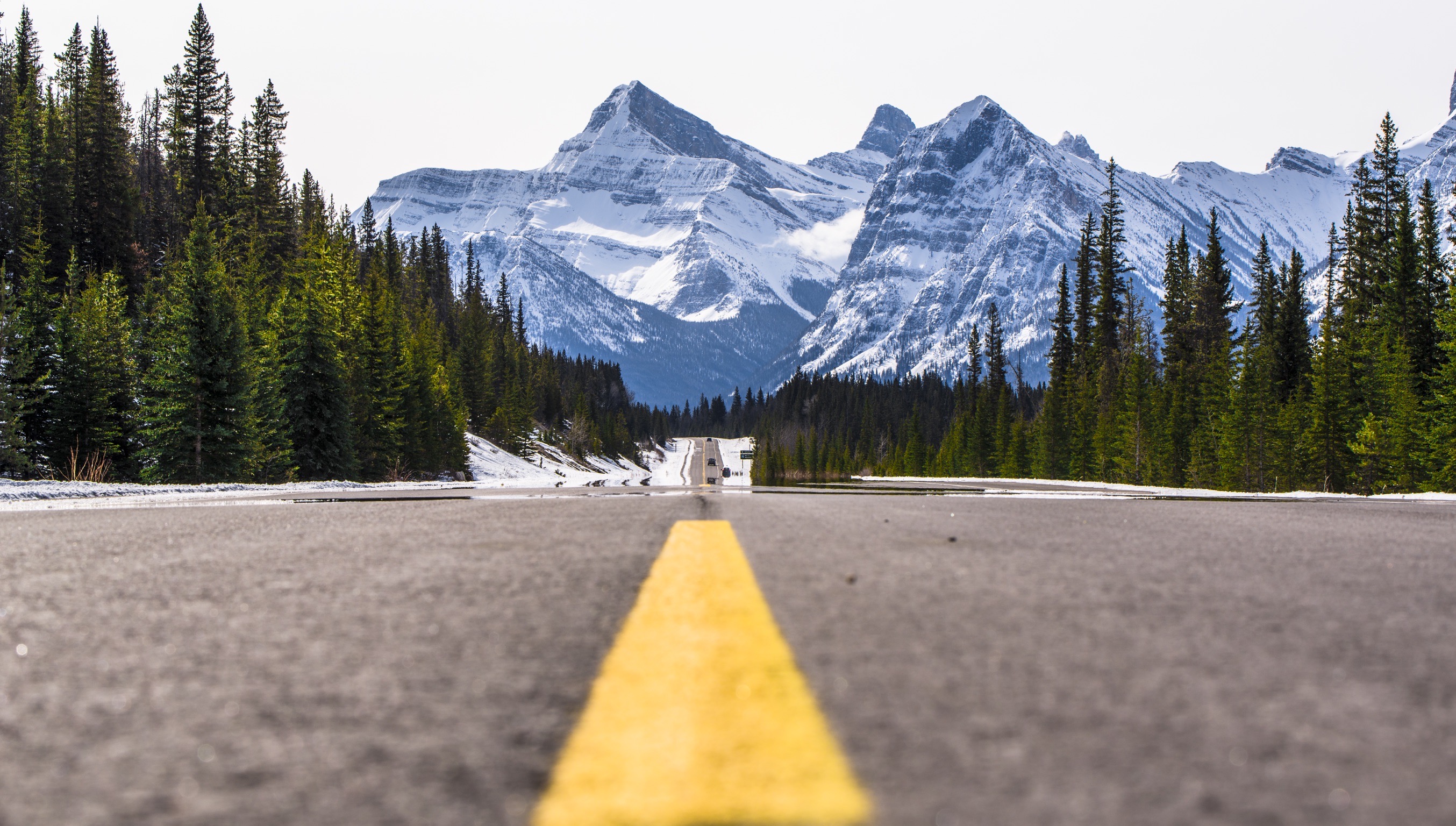 Portfolio - Kun Qian